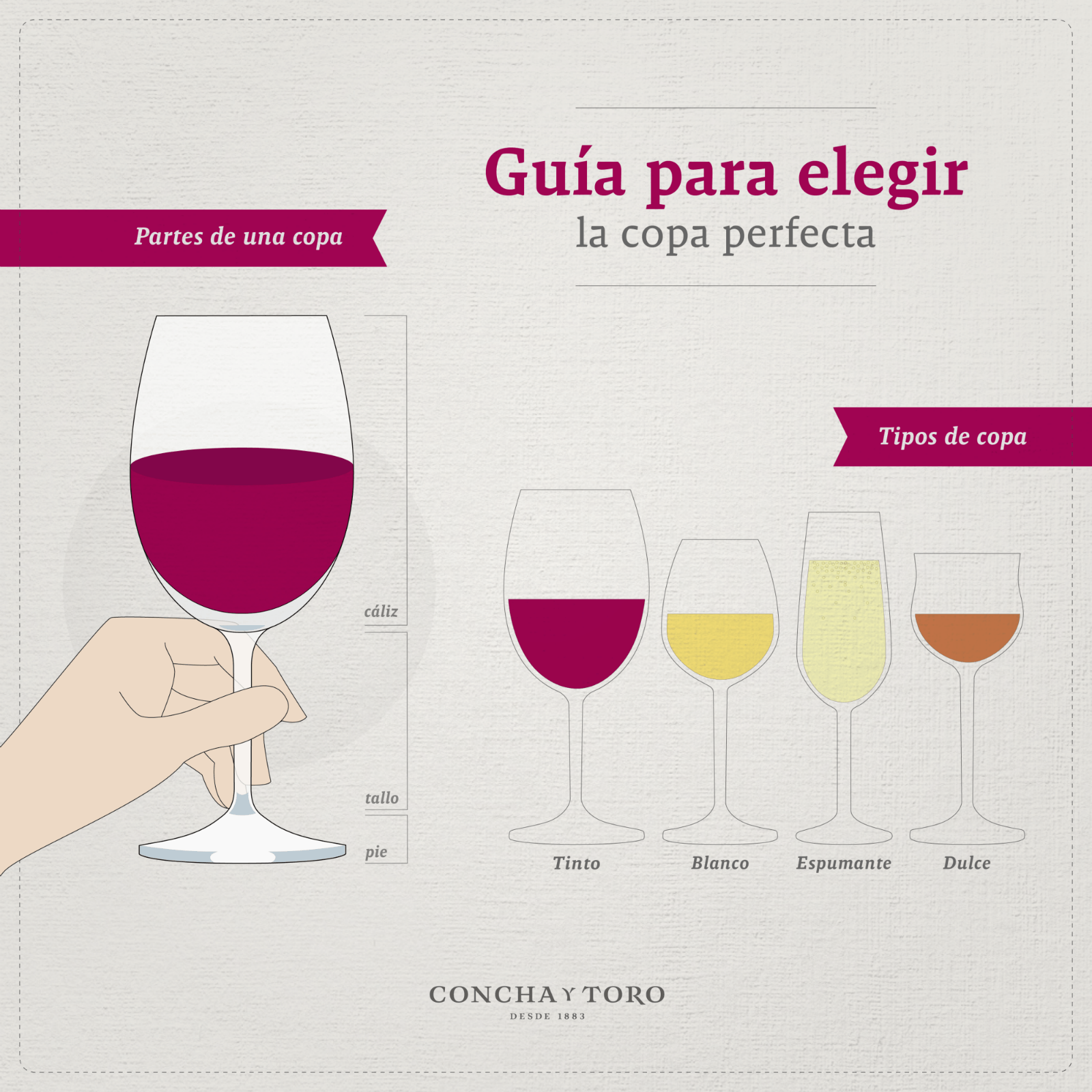 Tipos y formas de copas para vino - Concha y Toro