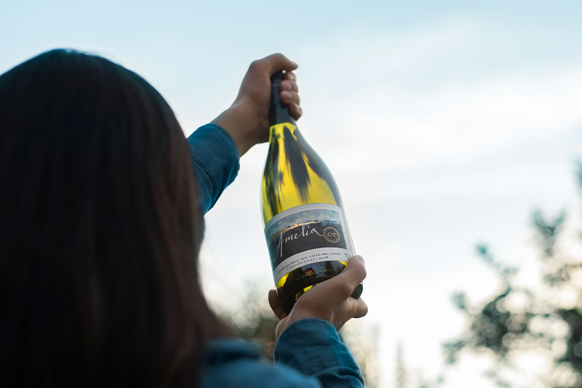 Complexity in wine - Concha y Toro