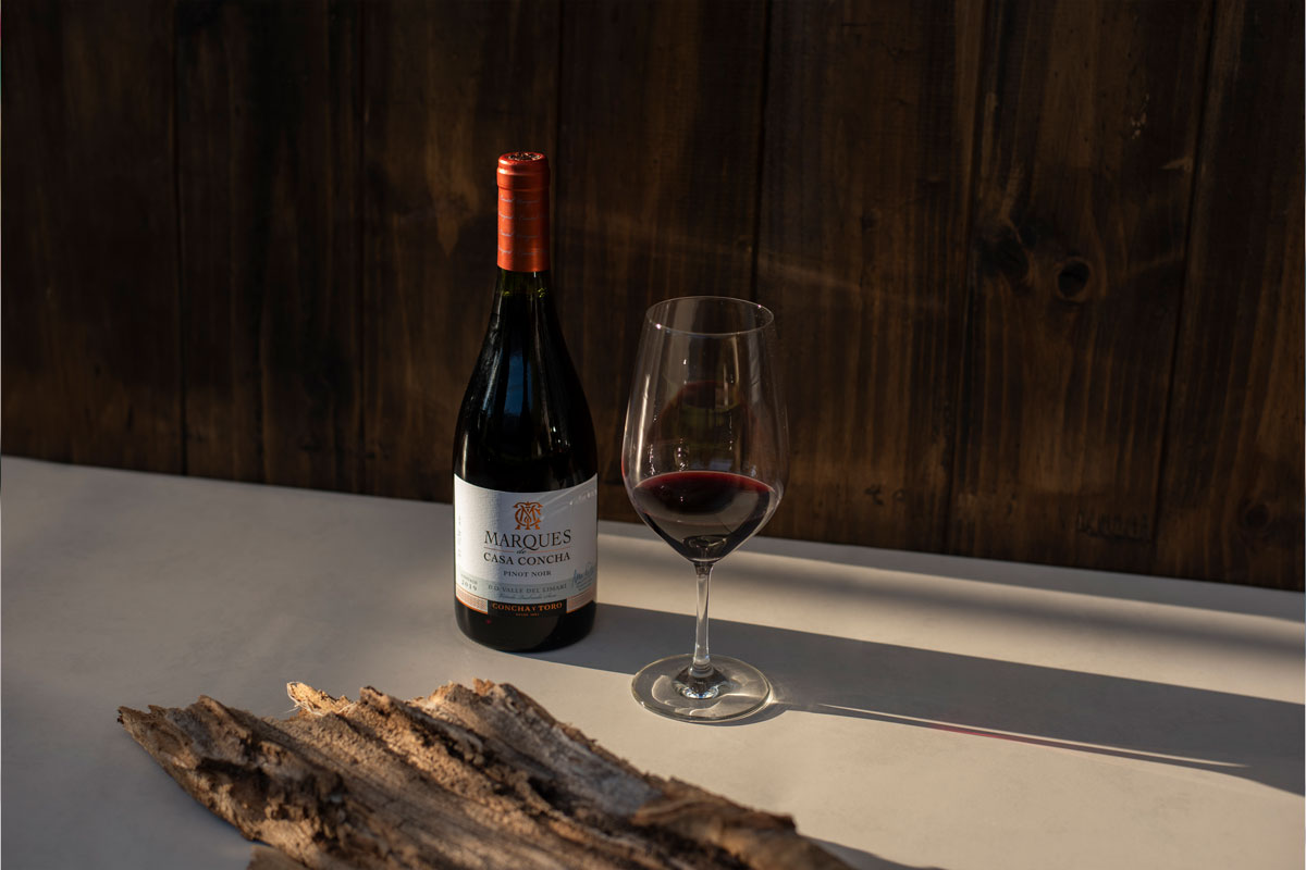 El Pinot Noir en 3 botellas - Concha y Toro