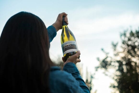 Concha y Toro gana dos podios en Guía de Vinos del Master of Wine ...