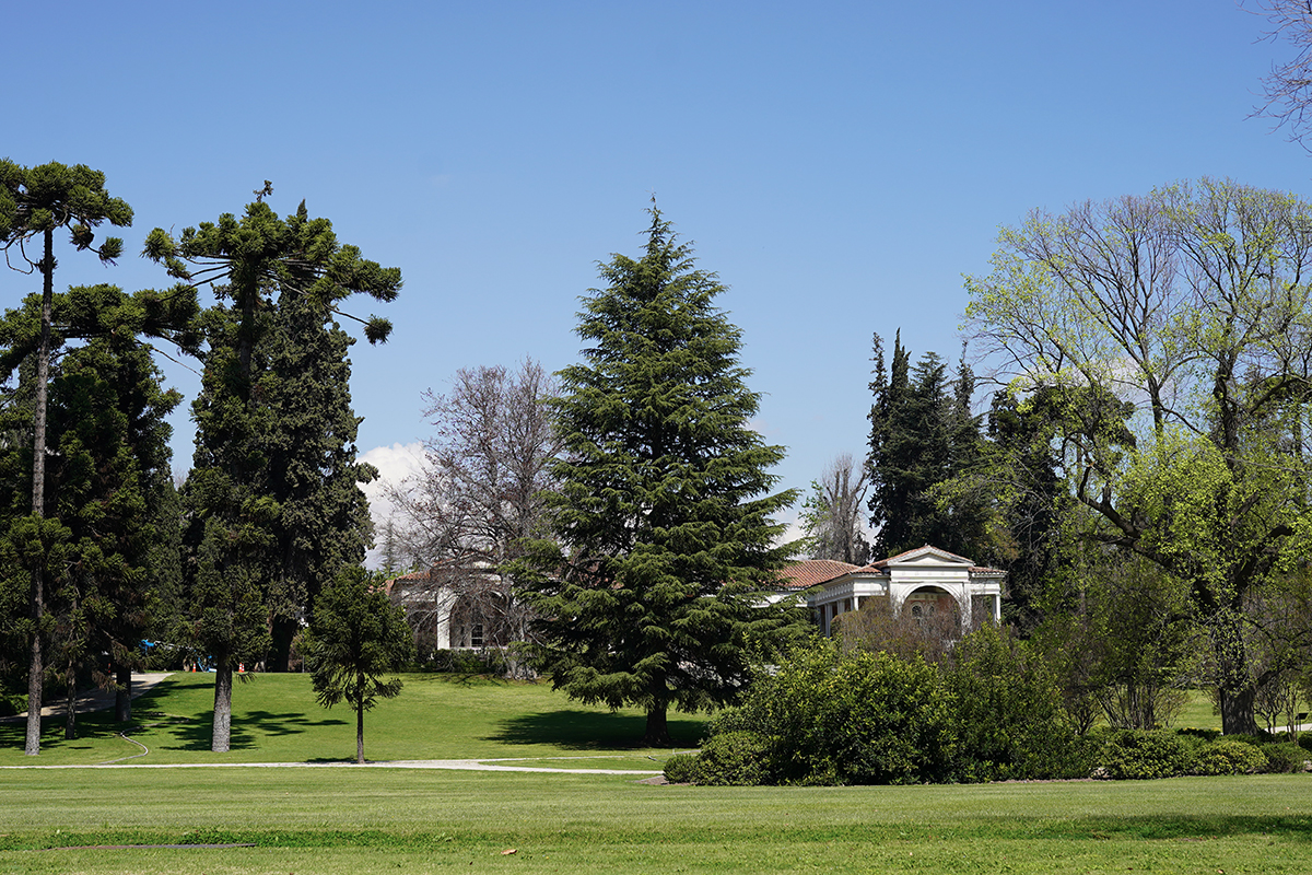 Viña Concha y Toro, Fundación Chilco y el Royal Botanic Garden Edinburgh crean pionero Sitio ...
